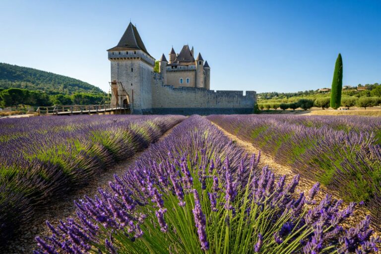 Les 8 plus beaux châteaux de la Provence à visiter absolument - Hôtel ...
